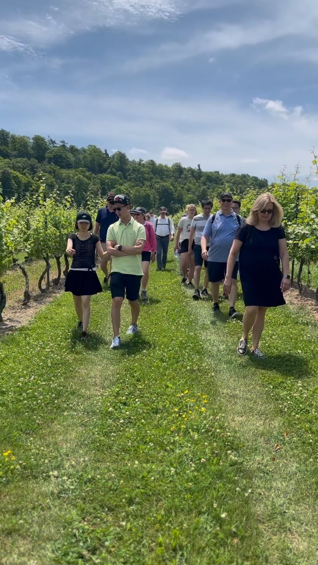 Cave Spring Vineyard